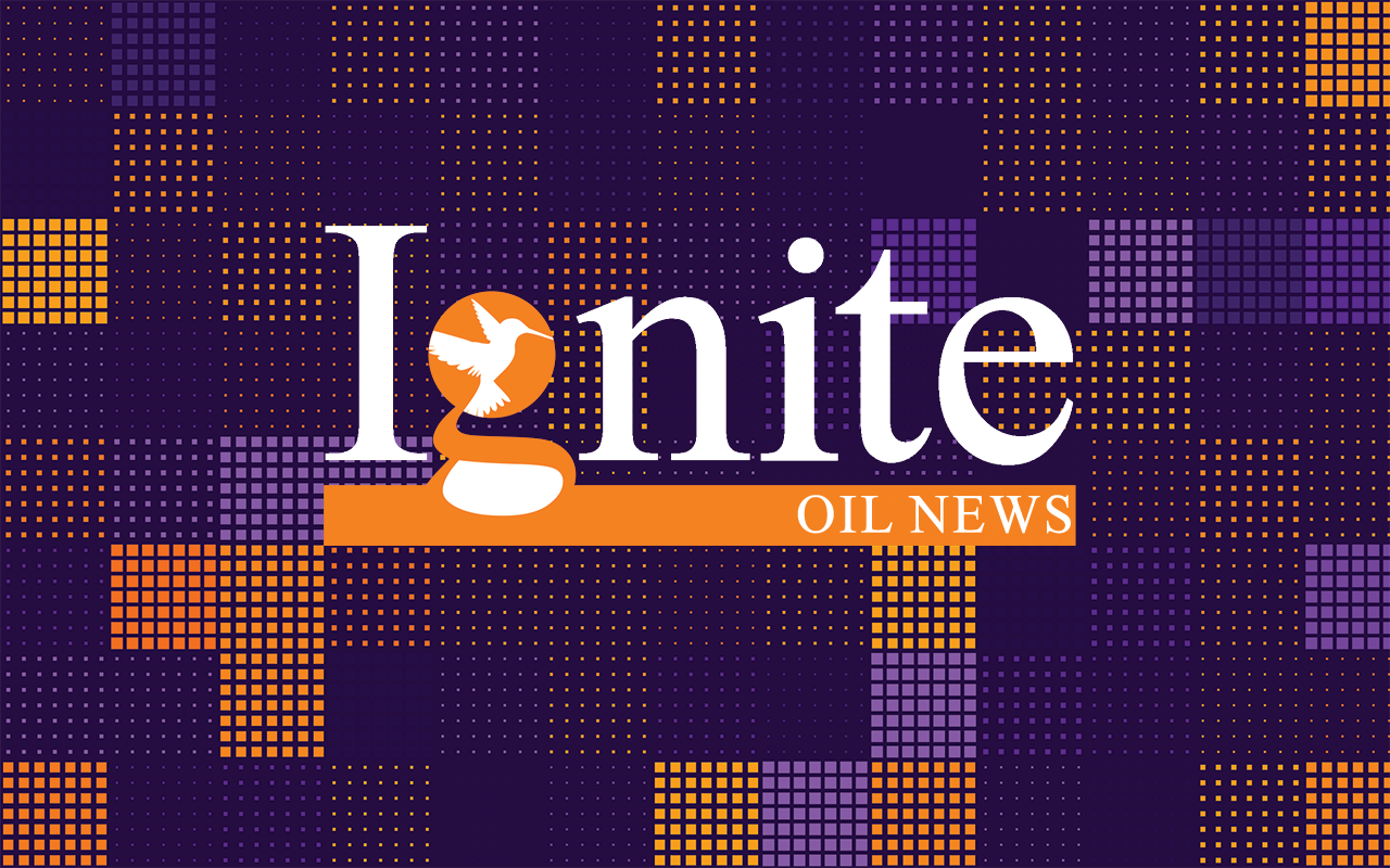 GCCI/MODEC prepare local companies for business opportunities - Ignite News