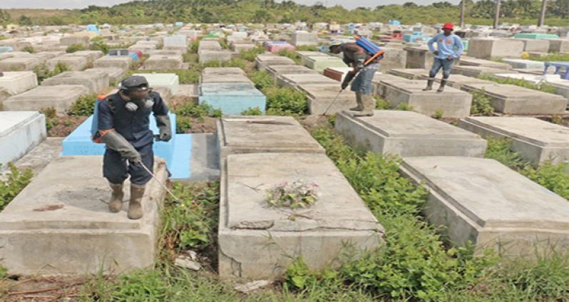 Le Repentir Cemetery to be upgraded - Ignite News