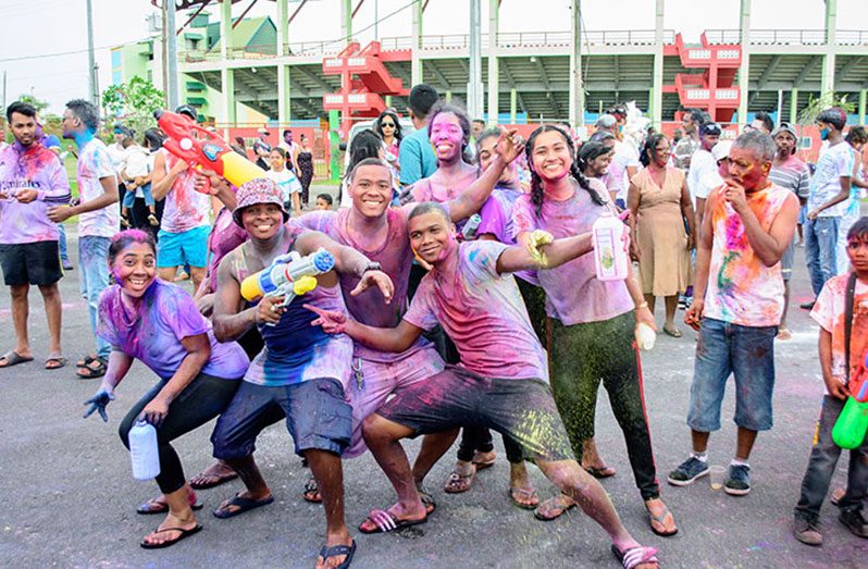 Dharmic Sabha: alcohol and vulgarity have no place in Phagwah ...