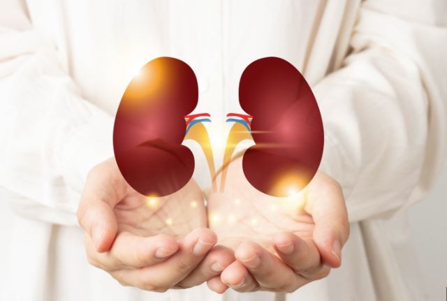 Hope for end-stage kidney patients as new transplant programme launched ...
